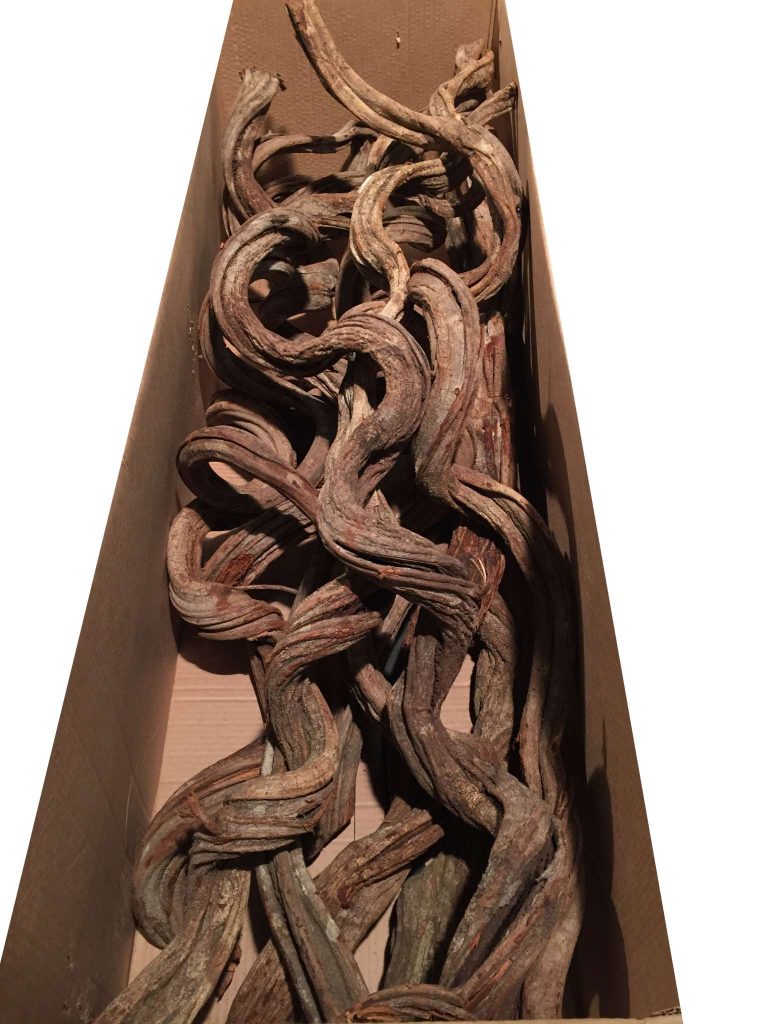 Liane 6-7cm natur 100cm – Rudolf Girstmair GmbH & Co. KG Online-Shop